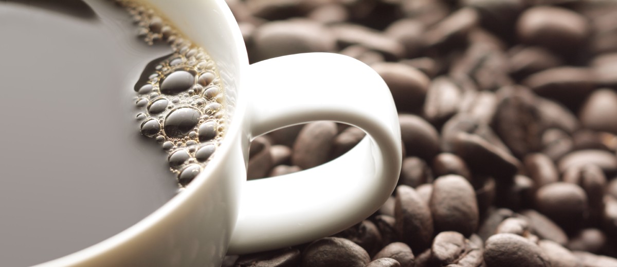 Field Guide to Latin American Coffee | 'LLERO